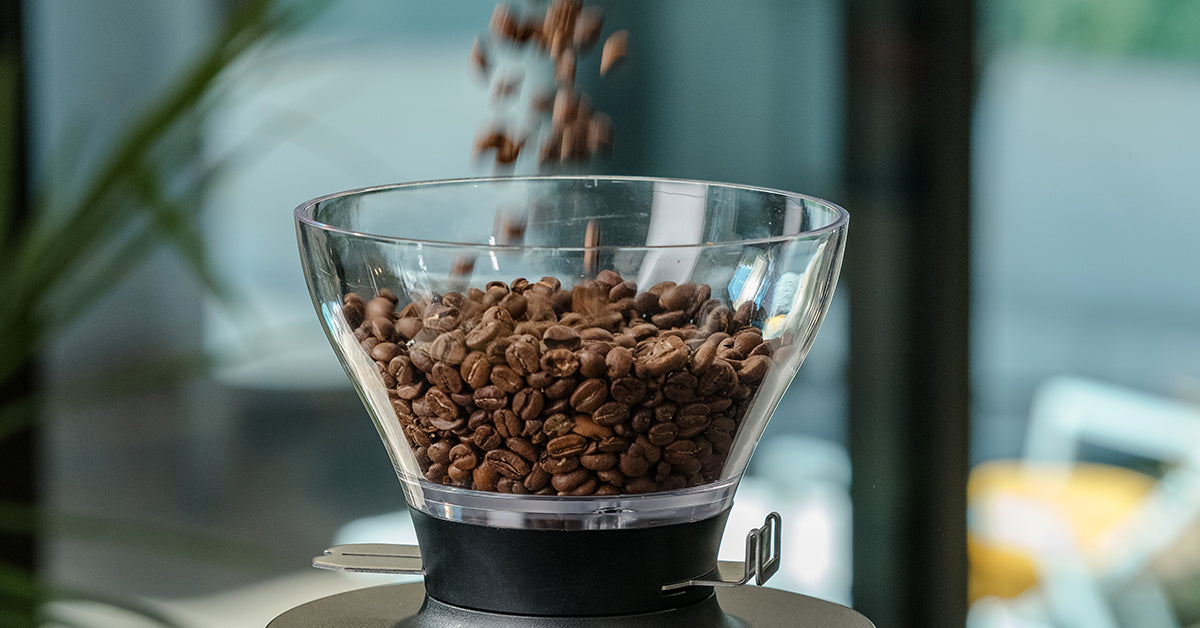How to Choose Coffee Beans | Blog — Mahlkönig