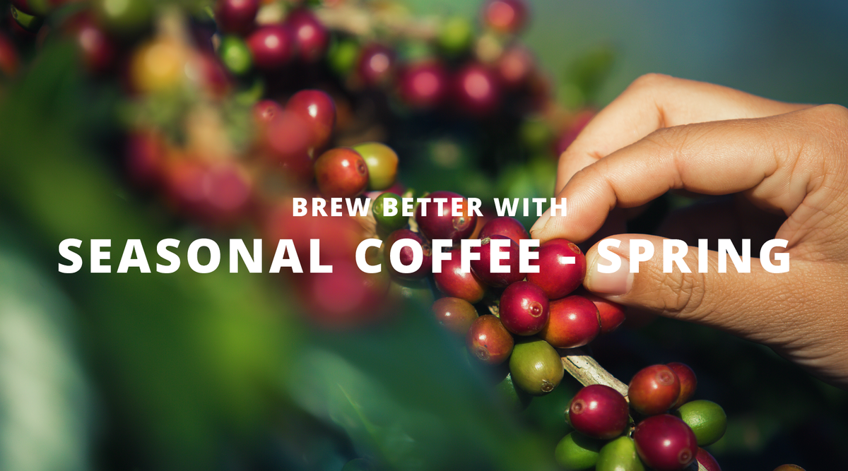 Brew Better with Seasonal Coffee - Spring — Mahlkönig